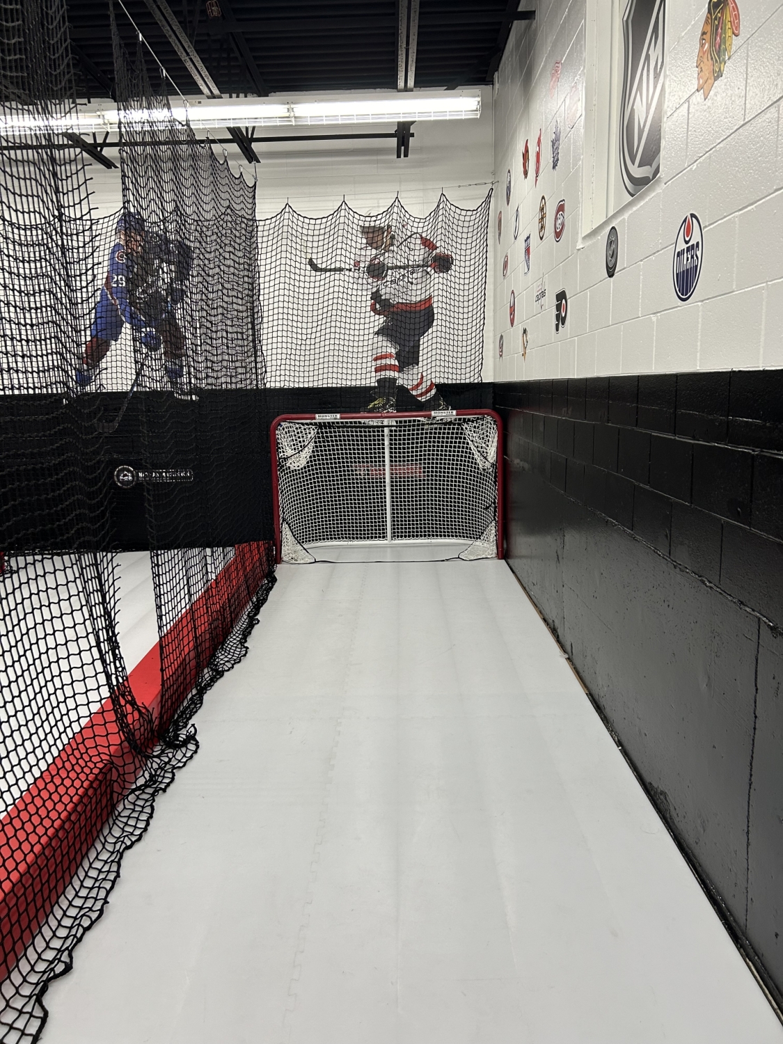 WORLD CLASS 4 ON 4 – SPRING HOCKEY LEAGUE